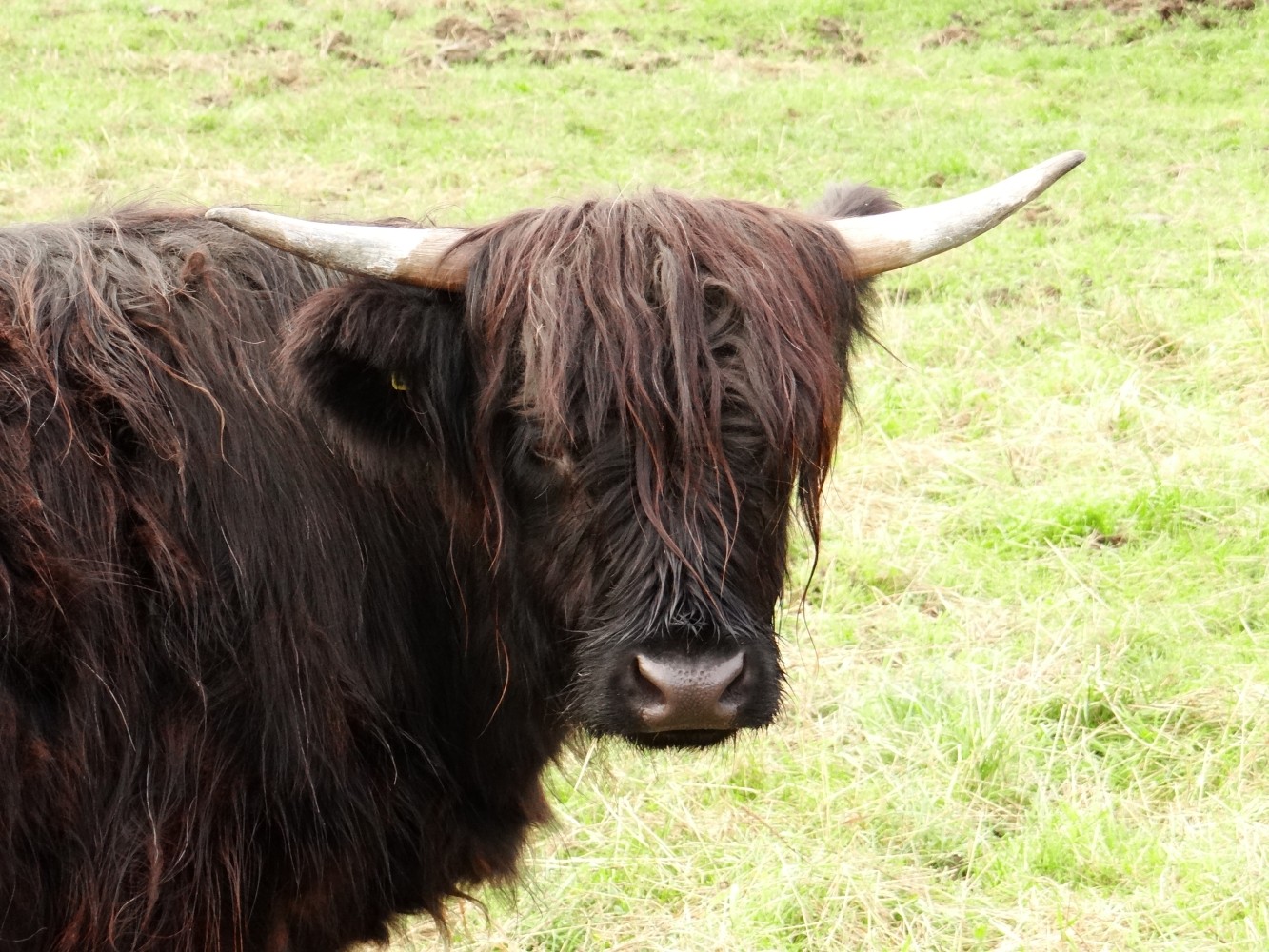 Scotland [splitbrain.org]